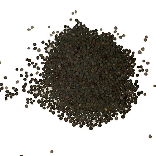 Knol Khol : Amazon.in: Garden & Outdoors