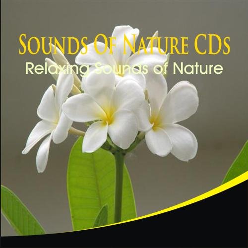 Sounds Of Nature CDs - Sounds Of Nature CDs - Amazon.com Music