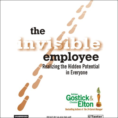 Amazon.com: The Invisible Employee: Realizing the Hidden Potential in ...