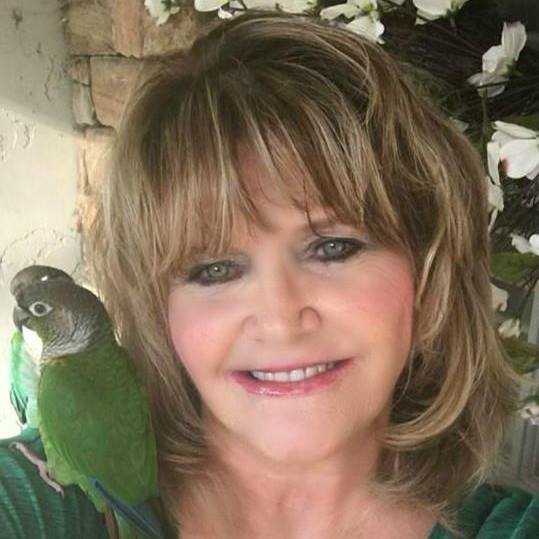 Amazon.de: Donna Gentry Morton: Bücher, Biographie, neuestes Aktualisierung