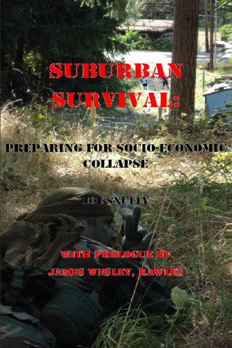 Suburban Survival: Preparing For Socio-Economic Collapse eBook : Snuffy ...