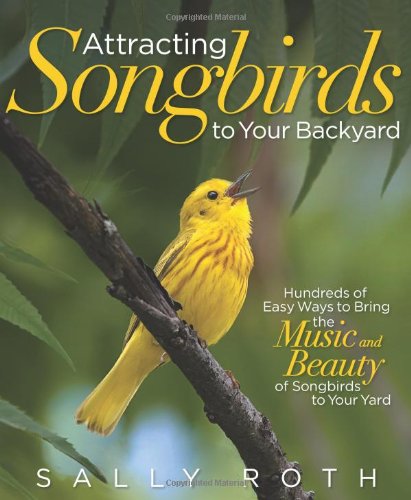 Attracting Songbirds to Your Backyard | Amazon.com.br