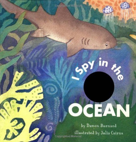 I Spy in the Ocean by Damon Burnard (2001-06-01): Damon Burnard: Amazon ...