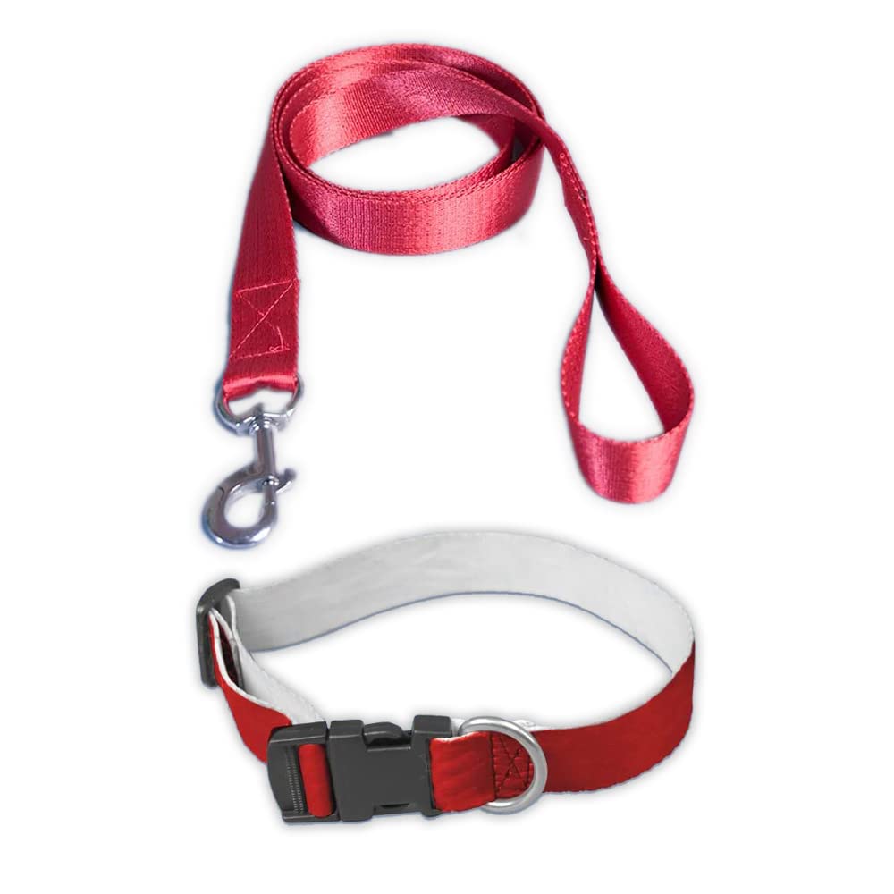 Buy SITSNOOZE Dog Neck Collar Belt and Leash Set | Anti Slip ...