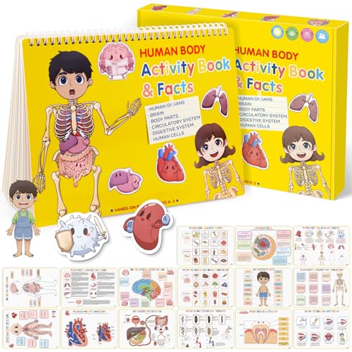 Top 11 Fascinating Human Body Science Kits for Young Explorers