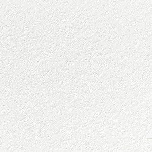 Amazon | 【長さ20mパック】 サンゲツ SP9740生のり付き壁紙/糊つき 量産クロス (旧SP2826 ） 石目調[N-SP9740-20] SP 2023-2025 | 壁紙