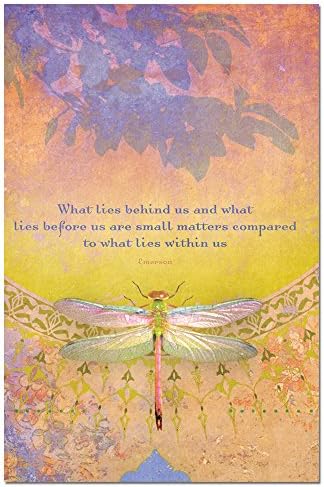 Amazon.com : Tree-Free Greetings - All Occasion Cards - Artful Designs ...