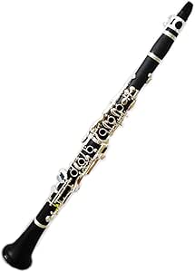 Amazon.com - Clarinets 17 Keys B-Flat Clarinet Bakelite Clarinet Silver ...