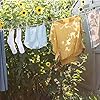 ONE BEST DEAL Washing Line Cord | Long & Extra Strong Steel Cloths Line ...