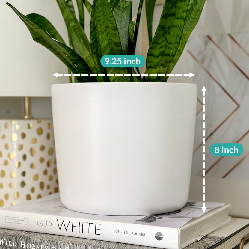 Snapklik.com : Willowy 9 Inch Matte White Ceramic Planter - Ceramic ...