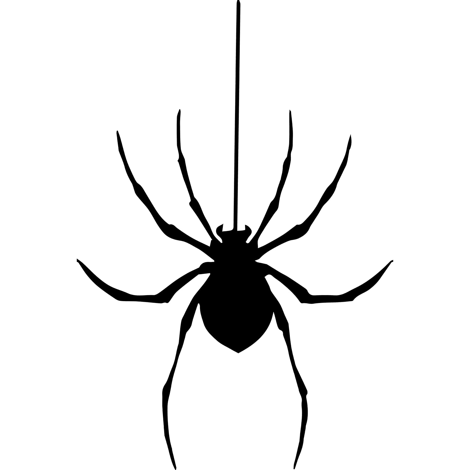 Halloween Spider Silhouette
