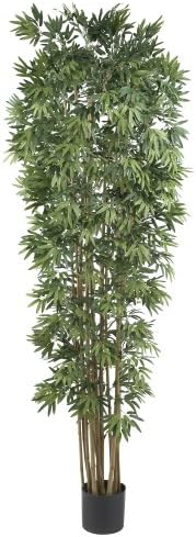 Amazon.com: Nearly Natural 6ft. Curved Bamboo Silk Tree : Home & Kitchen
