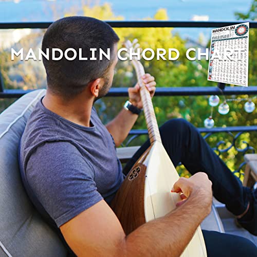 Snapklik.com : Mandolin Chord Chart Poster - 16x24 Wall Chart For ...
