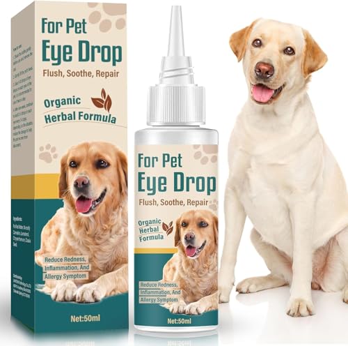 10 Best Over The Counter Dry Eye Drops For Dogs