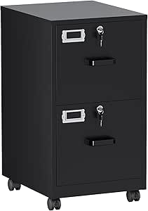 Amazon.com: BYNSOE 2 Drawers File Cabinet with Lock Metal Vertical File ...