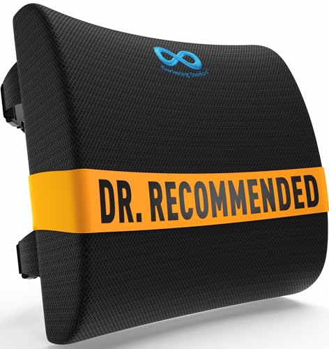 6 Best Lumbar Support for Car Seats [for Lower Back Pains]
