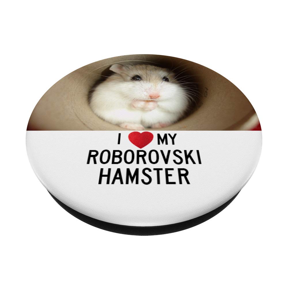 Cute Robo Dwarf Hamster