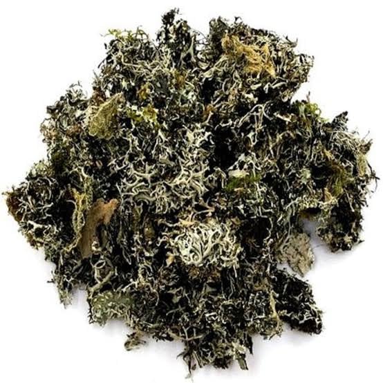 AYURVEDIC ZONE Chel chabila | Chabila phool | pathar ke Phool | Stone ...