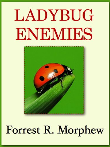 Ladybug Enemies (English Edition) eBook : Morphew, Forrest Rene: Amazon ...