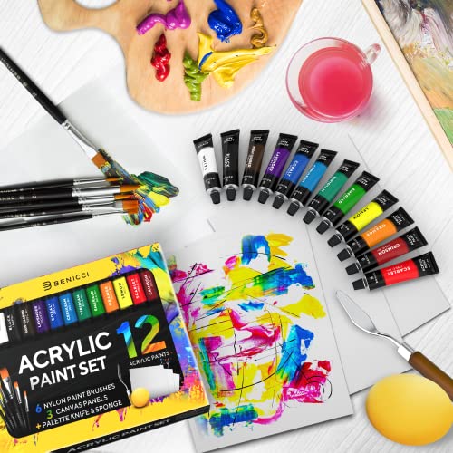 Snapklik.com : Acrylic Paint Set For Kids, Artists And Adults - 12 ...