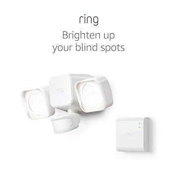 Amazon.com: Ring Smart Lighting – Floodlight, Battery-Powered, Outdoor ...
