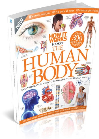 How it Works Book of The Human Body Third Revised Edition: Imagine ...
