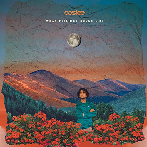 f.o.r d.a.y.s by CosLee on Amazon Prime Music