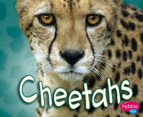 Cheetahs (Pebble Plus, African Animals): Nuzzolo, Deborah ...