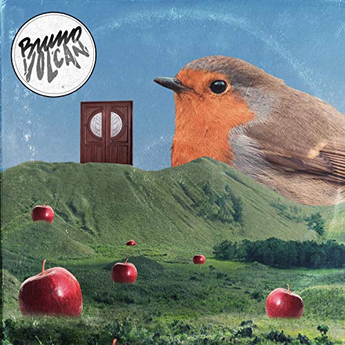 Amazon.co.jp: Absorbing Animals : Bruno Volcan: Digital Music