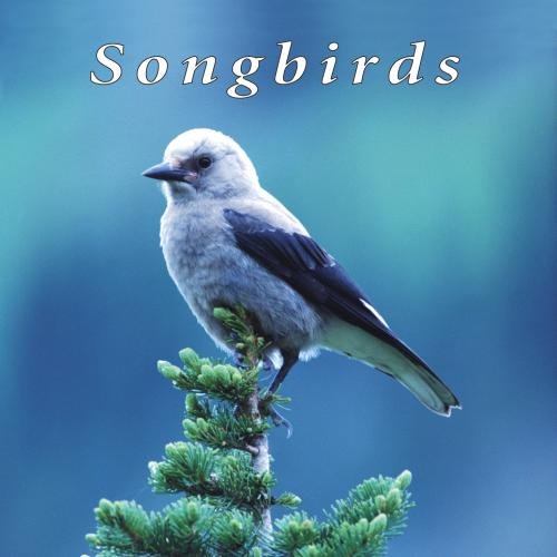 Amazon.com: Songbirds: CDs & Vinyl