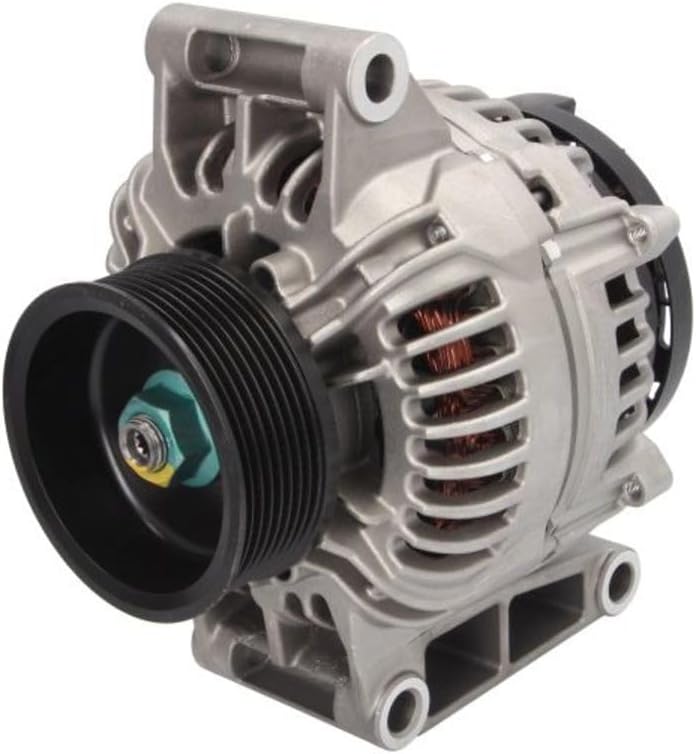 Amazon.fr : BOSCH 100A