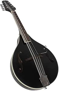 Amazon.com: Generic Mandolin Instrument 8-String Basswood Ebony ...