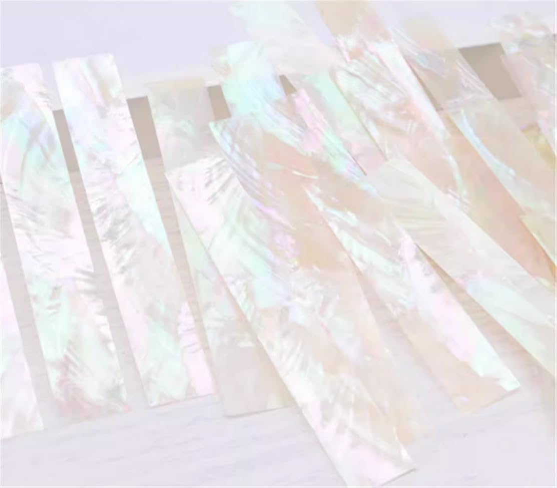 Amazon.com: Skyseen 3PCS Natural Primary Color Abalone Shell Slices ...