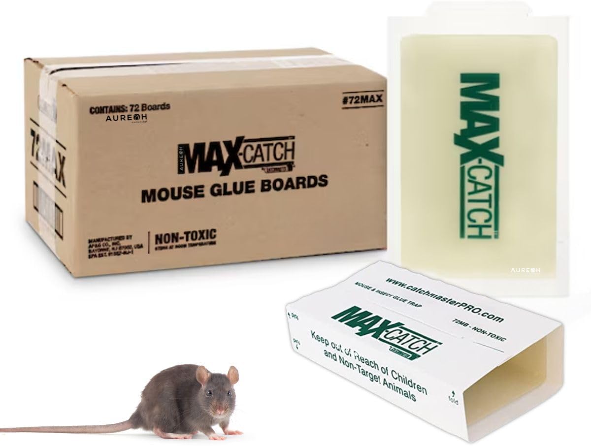 Amazon.com : Catchmaster TRTD11386 72TC Glue Board Rodent and Insect ...