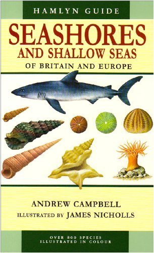 Hand of Steel: Butler, Rupert: 9781855015593: Amazon.com: Books