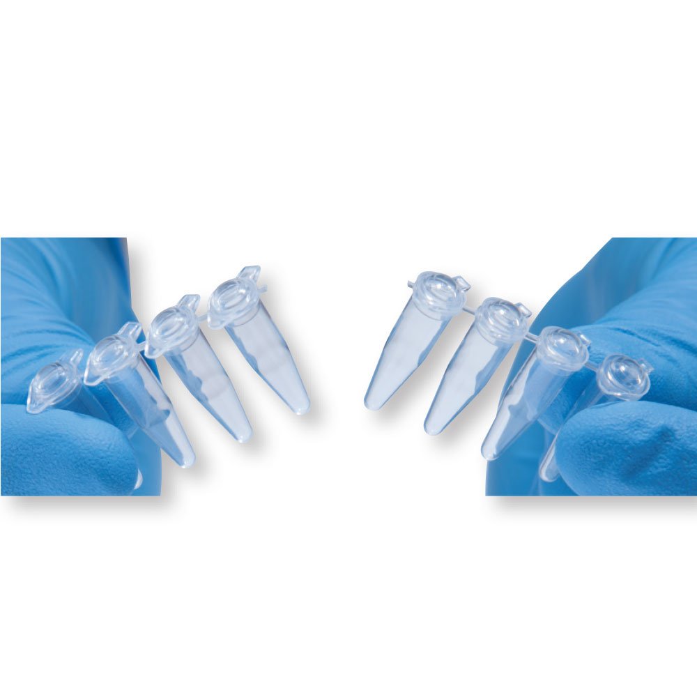 Buy .2ml 8-Well PCR Strip Tubes, U, Hinged Flat Caps Attached, 120 ...