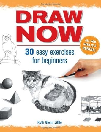 Draw Now: 30 Easy Exercises for Beginners : Buy Online at Best Price in ...