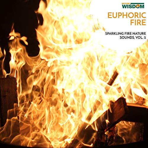 Play Euphoric Fire - Sparkling Fire Nature Sounds, Vol. 2 by VARIOUS ARTISTS on Amazon Music