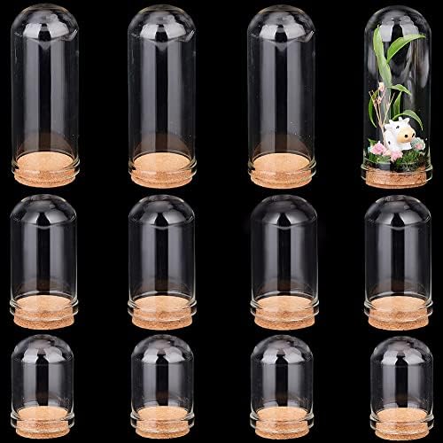 Amazon.com: SUNNYCLUE 12Pcs Cloche Bell Jar Display Case Glass Display ...