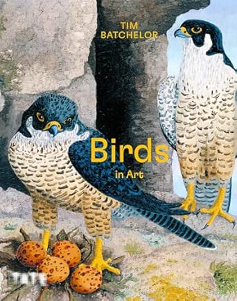 Birds: Batchelor, Tim: 9781849768733: Amazon.com: Books