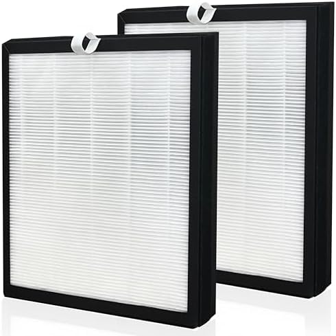 Amazon.com: 2-Pack G3 A3 Replacement Filter, Compatible with AMEIFU G3 ...