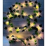 Ivy String Lights | The Green Head