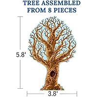 Amazon.com: Carson Dellosa Bulletin Board Tree Set—Large Tree Cutout ...