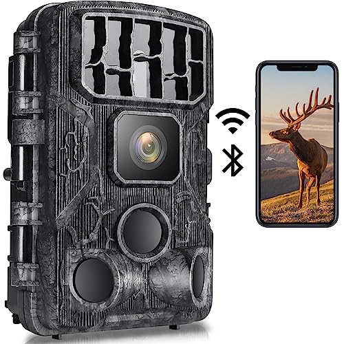 Wildtierkamera: Test & Empfehlungen (09/23) - OUTDOORMEISTER