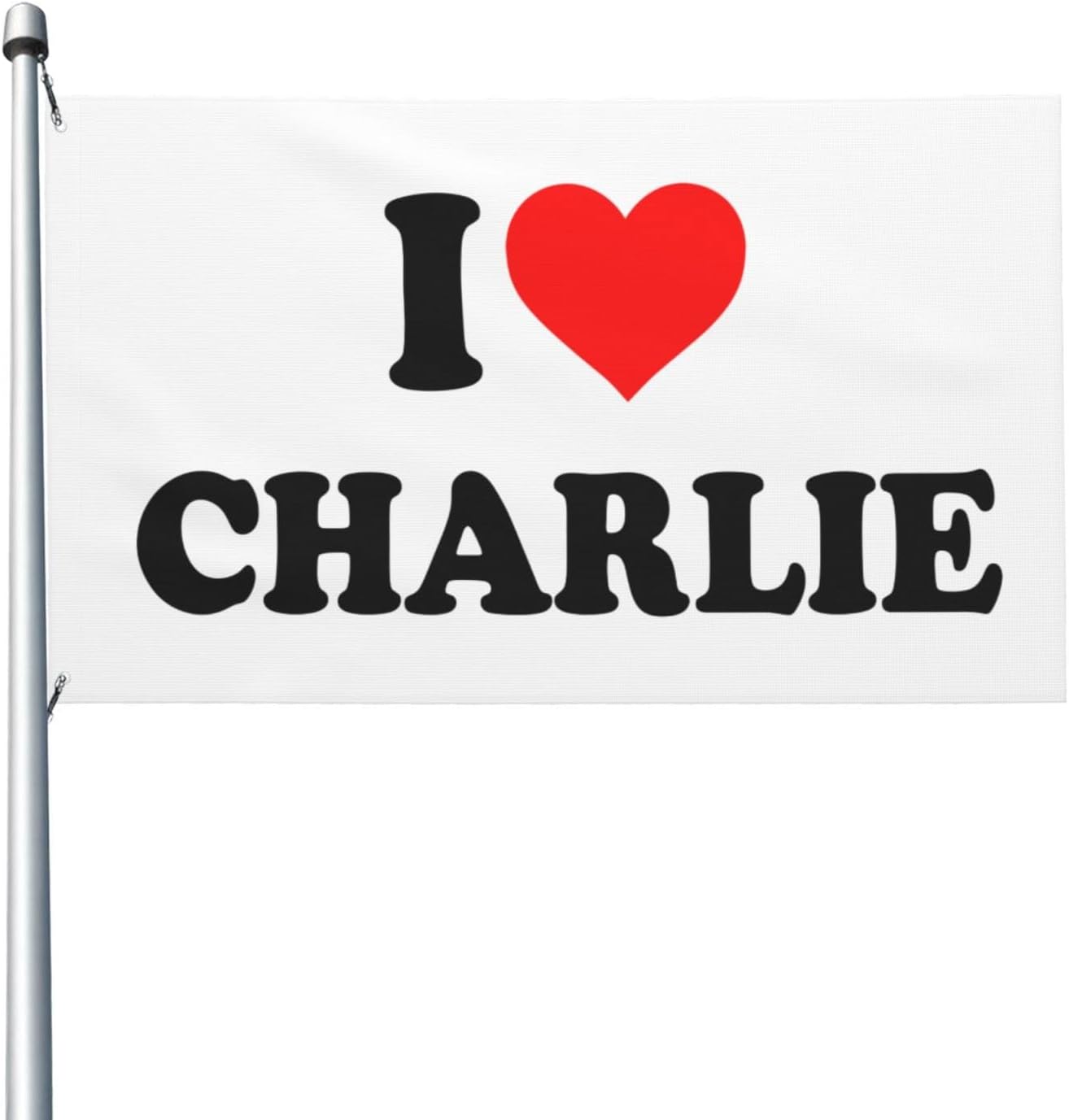 Amazon.com : I Heart Love Charlie Flag 3x5 Ft Outdoor Double Sided ...