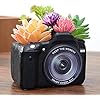Amazon.com: KIKTOP Camera Decorative Planter Plant Gift - Desk Decor ...