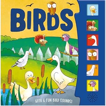 BIRDS SOUND BOARD BOOK [Board book] : Amazon.in: Books