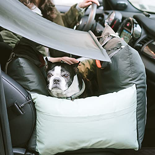 18 Most Essential Dog Car Travel Accessories You Must Have