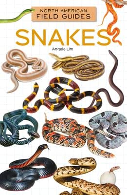 Snakes (North American Field Guides): Lim, Angela: 9781098297695 ...