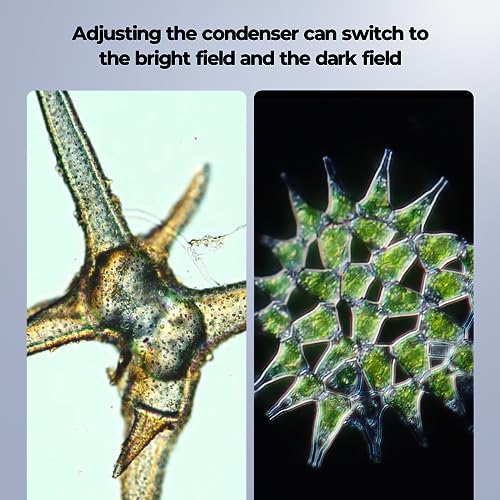 Snapklik.com : Darkfield Blood Model Lab Darkfield & Brightfield ...